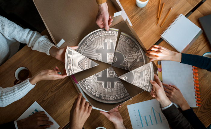 Why Customizable MLM Software is Essential for MLM Business